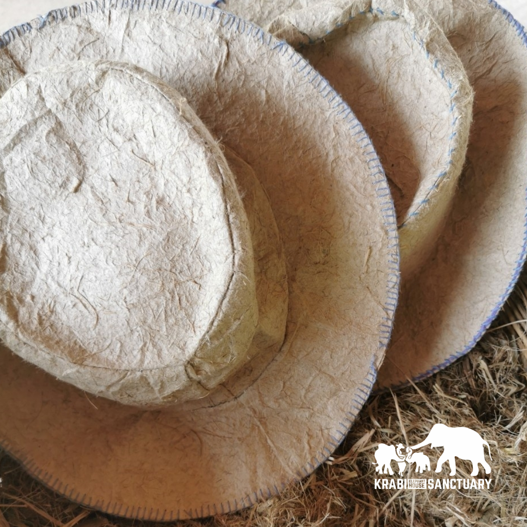 Sustainable Products : Brought to you by the Elephants’ Poop at Krabi ...