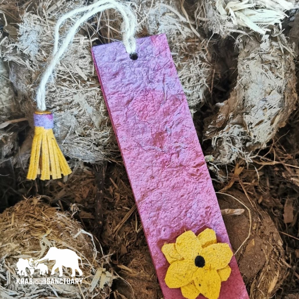 Sustainable Products : the Elephants' Poop at Krabi Elephant HOUSE